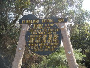 7 Days Rongai route Kilimanjaro Trekking Tanzania Safari